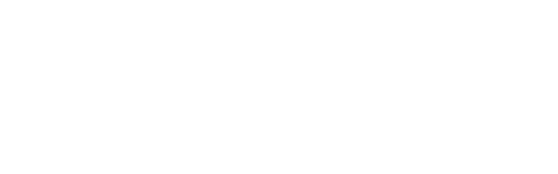 Home | First Insurance Services